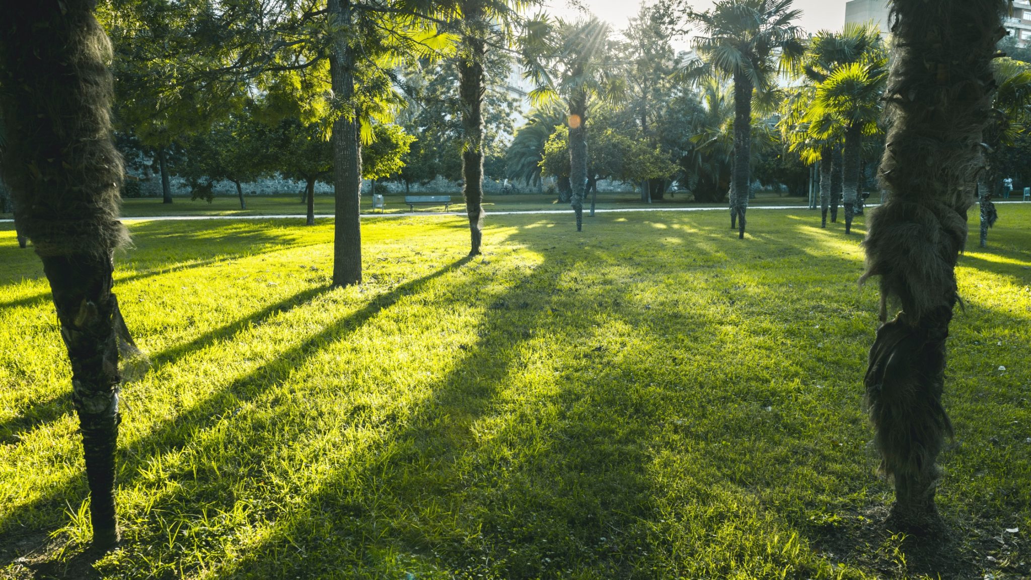 Les espaces verts